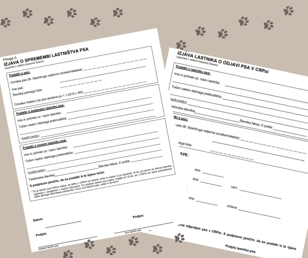 Odjava in sprememba lastništva psa: Kaj morate vedeti?